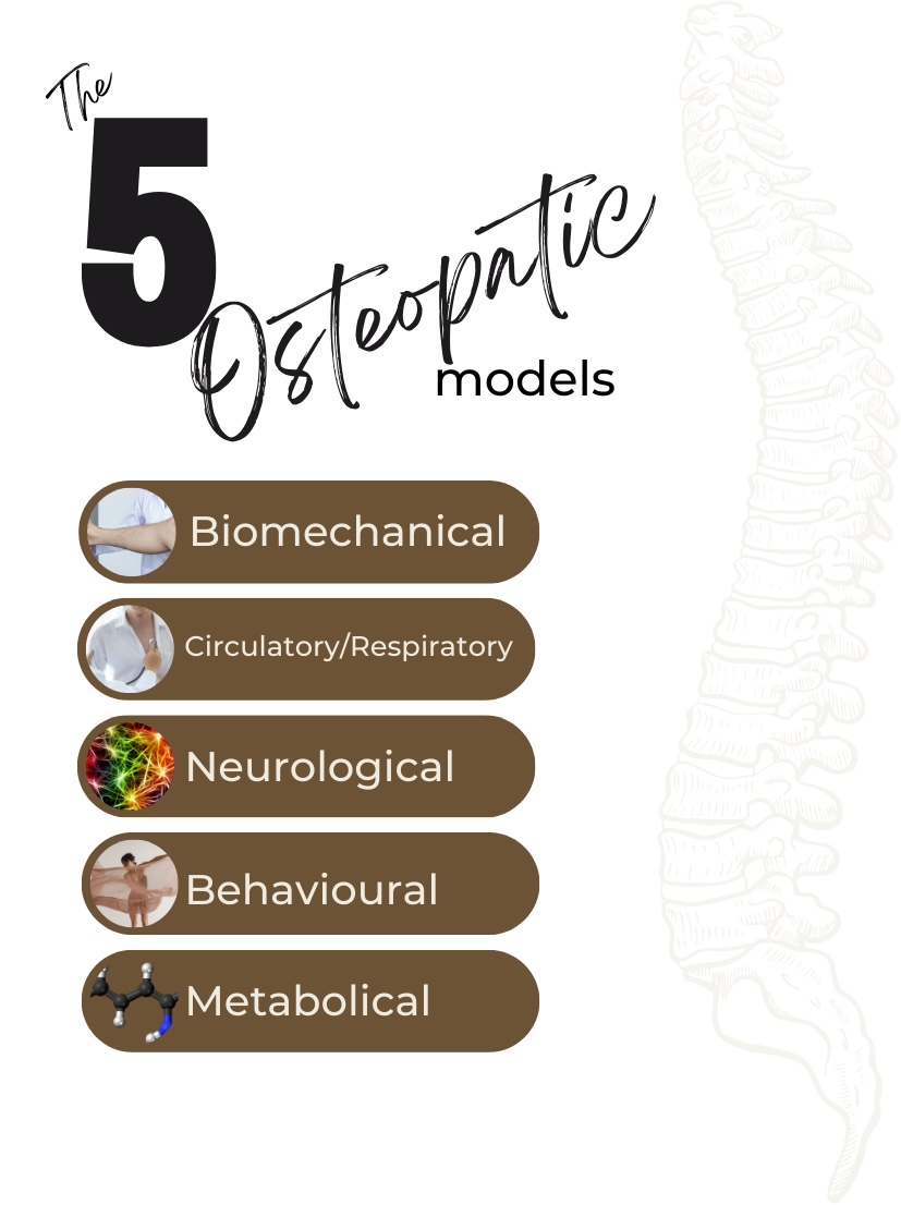 Osteopathic Models of Treatment - The Osteopathic Center of Northern ...